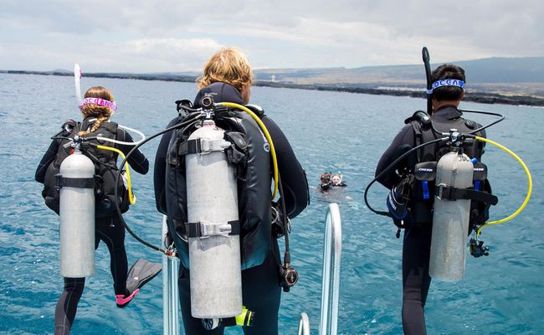 Courses | Divers & Co.